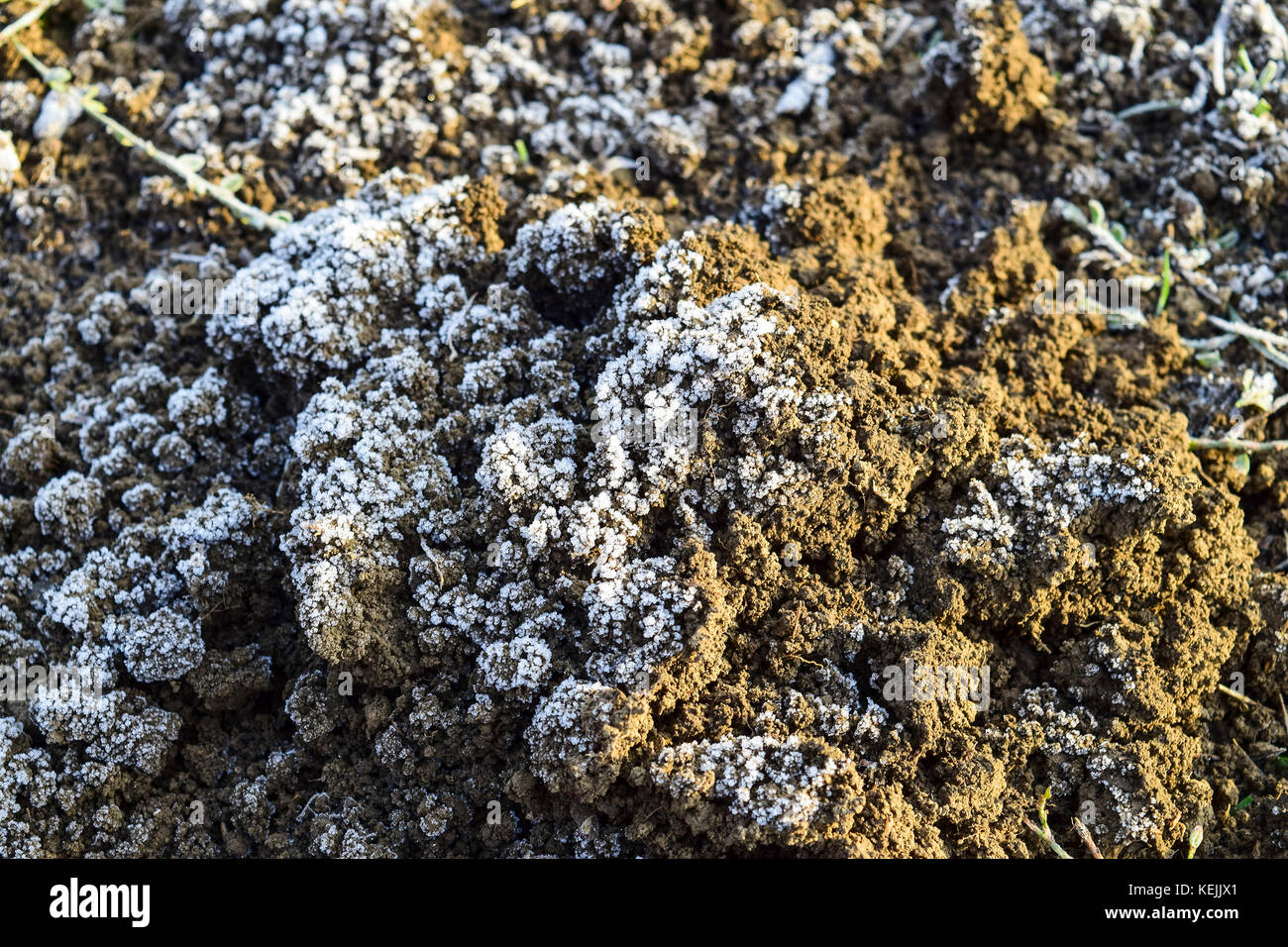 The soil and snow. Frozen ground. Background of the soil and snow Stock ...