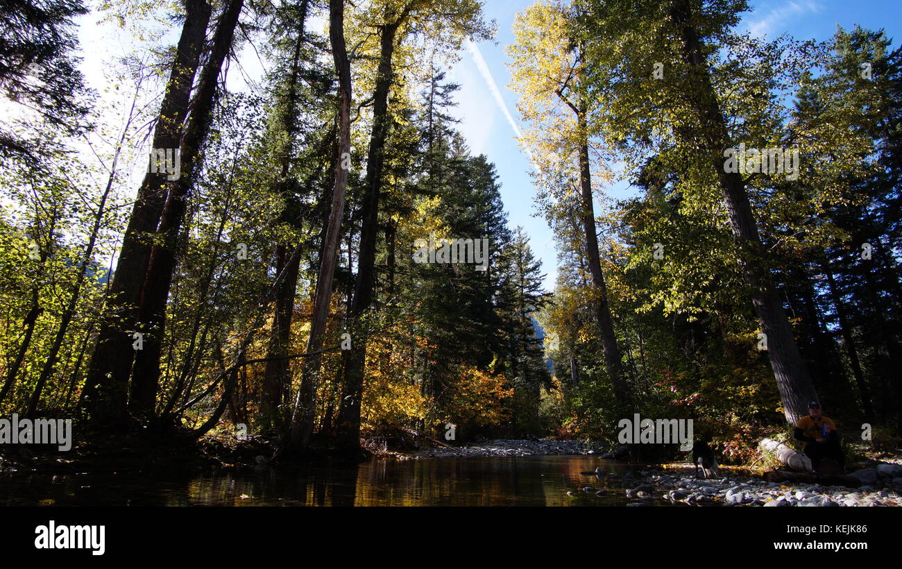 Exploring Washington State, The Great Pacific Northwest Stock Photo - Alamy