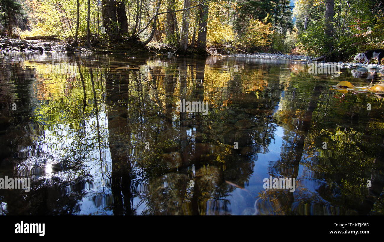 Exploring Washington State, The Great Pacific Northwest Stock Photo - Alamy