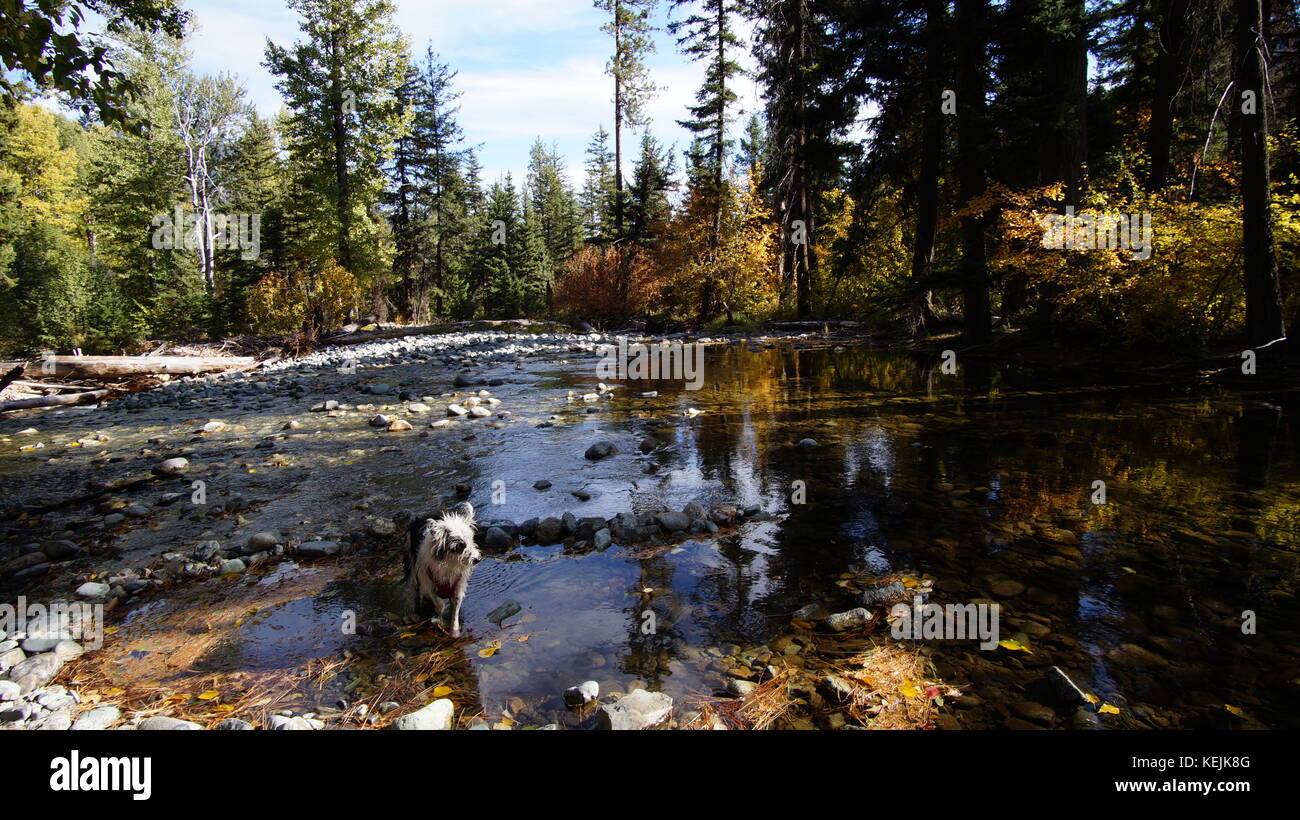 Exploring Washington State, The Great Pacific Northwest Stock Photo - Alamy