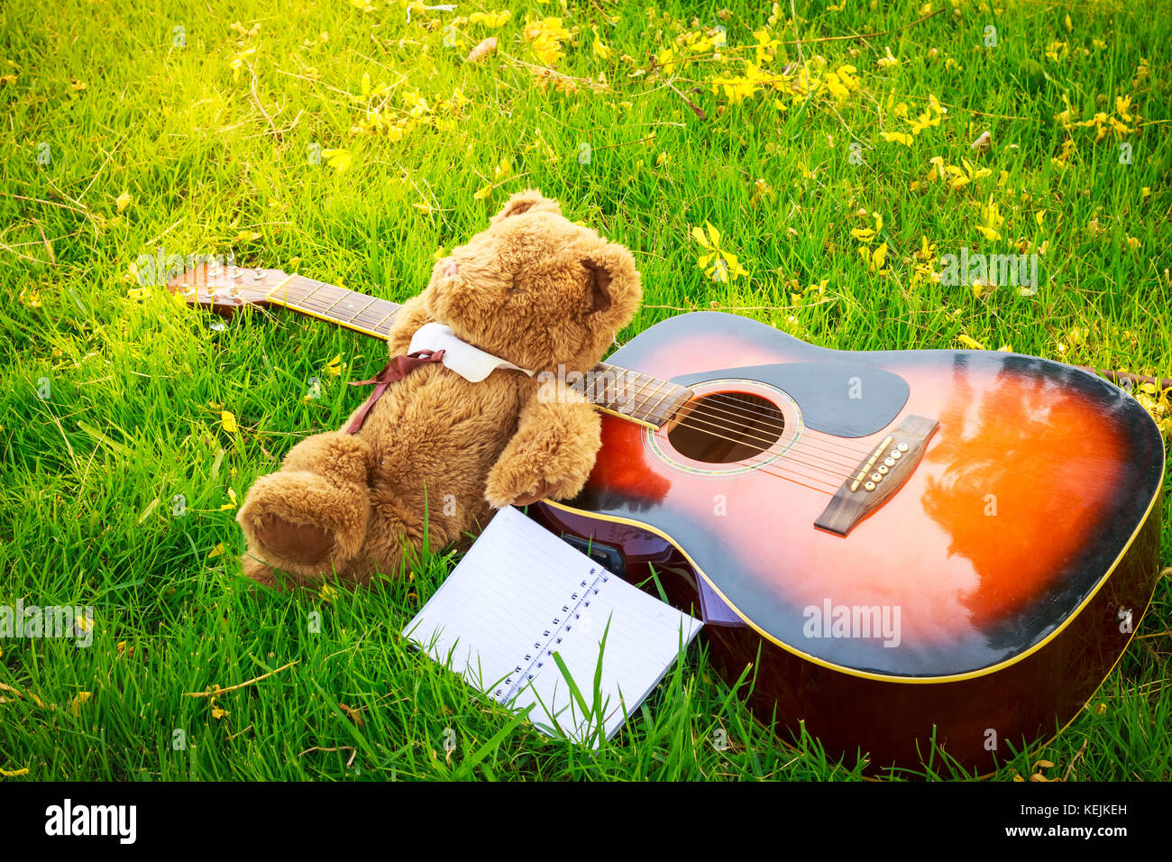 Teddy bear with guitar hi-res stock photography and images - Alamy