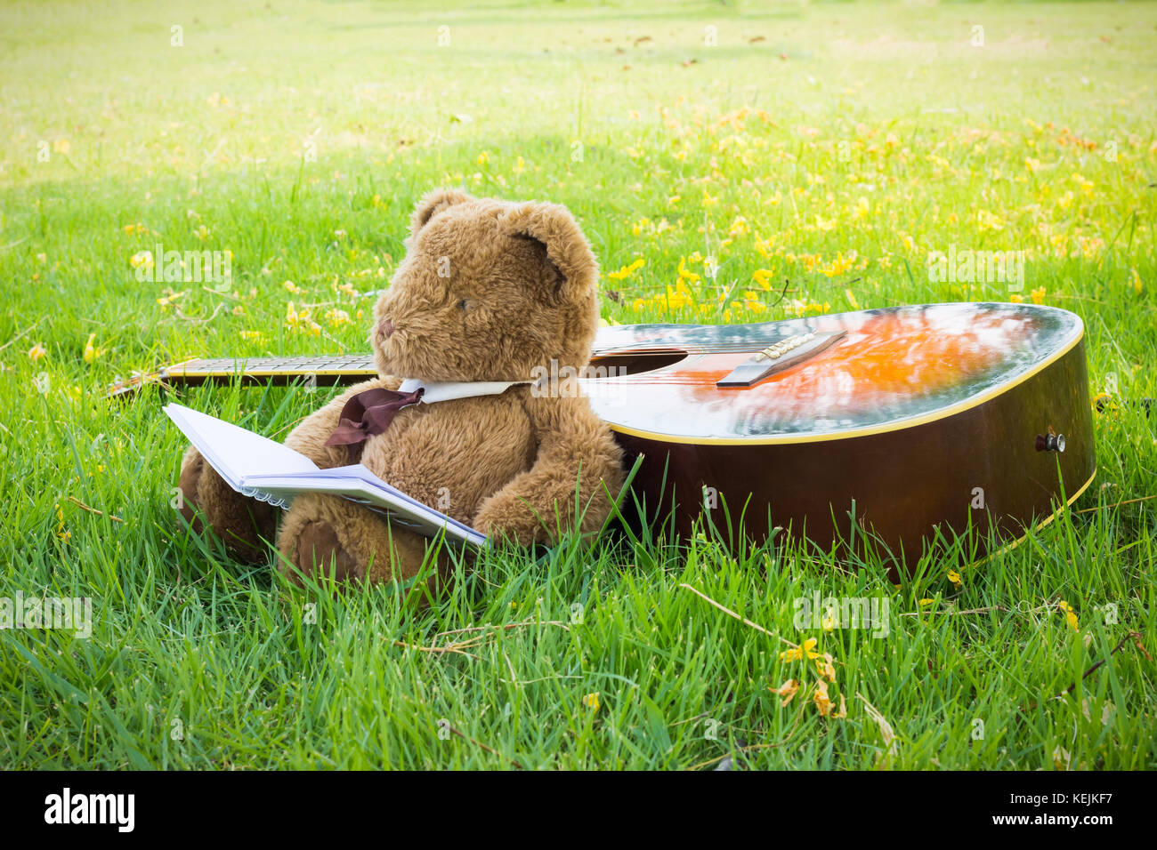 Teddy bear with guitar hi-res stock photography and images - Alamy