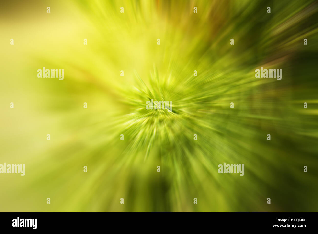 abstract green background. explosion star Stock Photo - Alamy