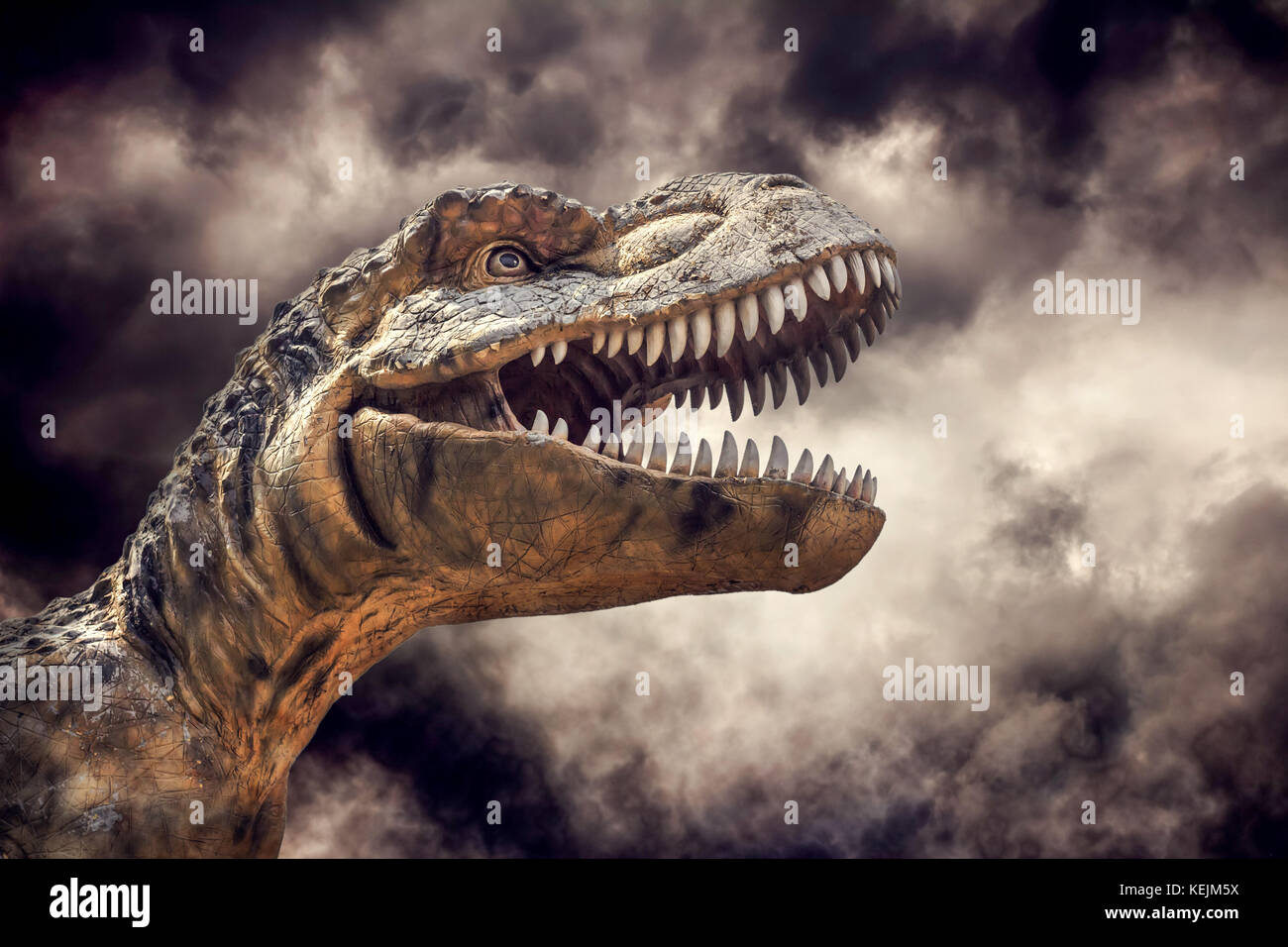 Tyrannosaurus rex in the storm Stock Photo - Alamy