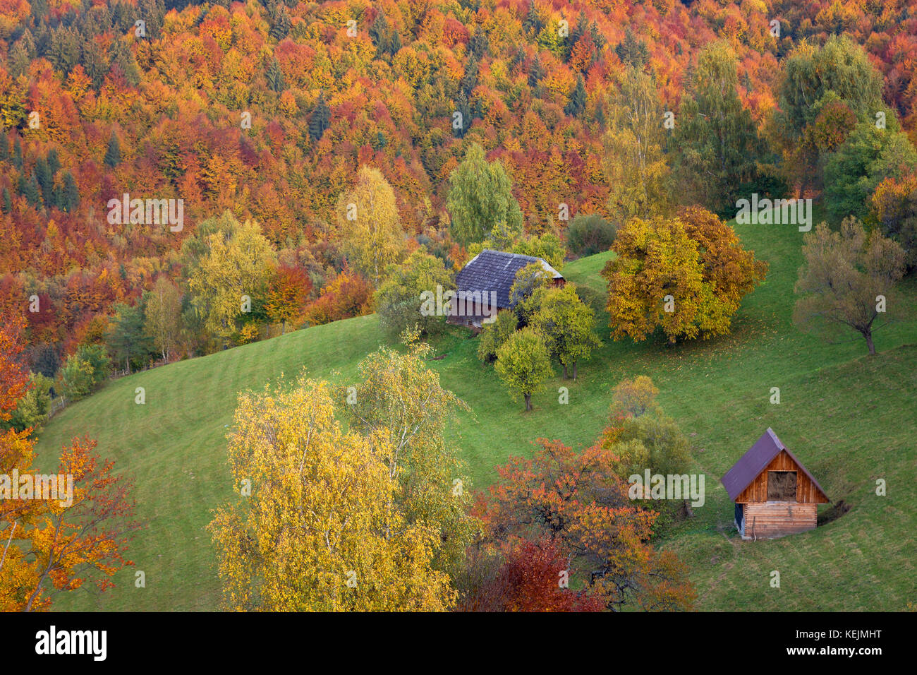 Beautiful autumn landscape in Transylvania Stock Photo - Alamy