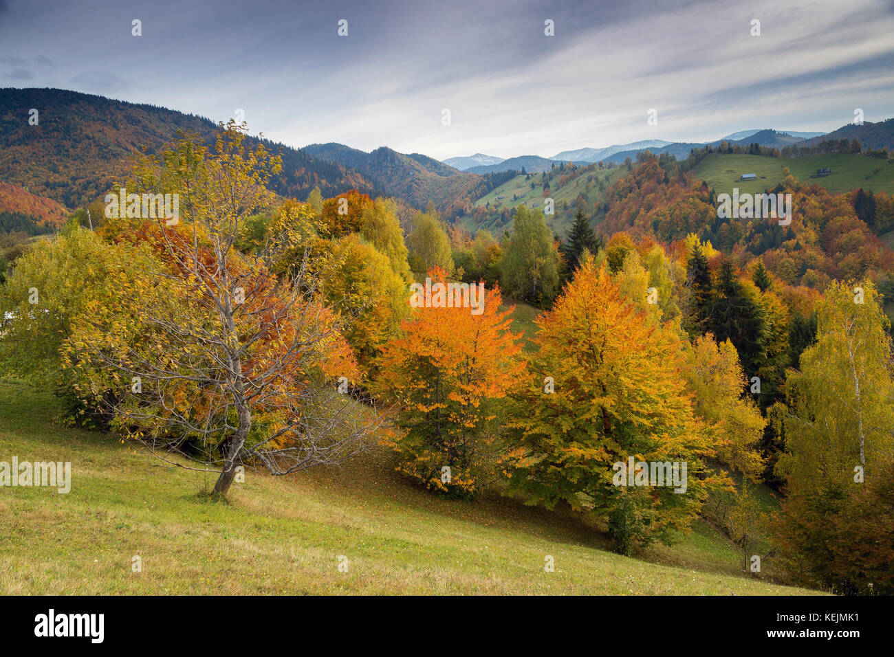 Beautiful autumn landscape in Transylvania Stock Photo - Alamy