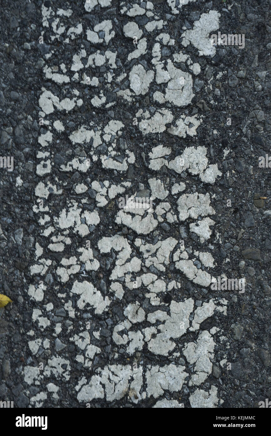Crosswalk white line on the street in New York City Stock Photo - Alamy