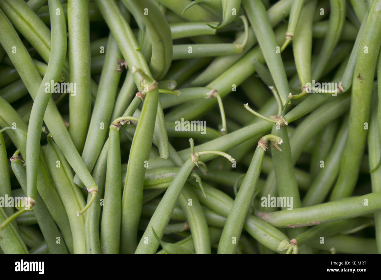 Freshly picked string beans for sale at the Grand Army Plaza Farmers ...