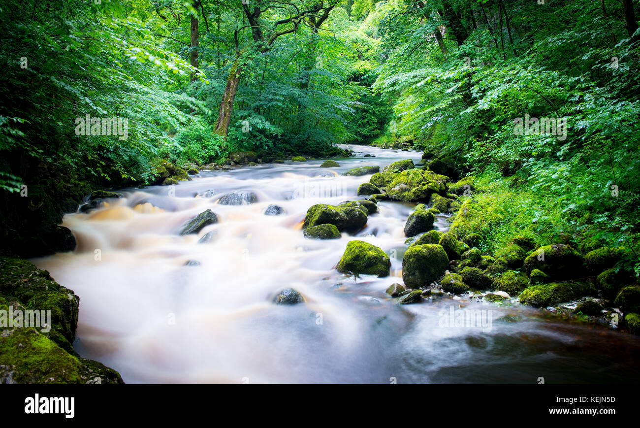 Slow motion green water puddle hi-res stock photography and images - Alamy