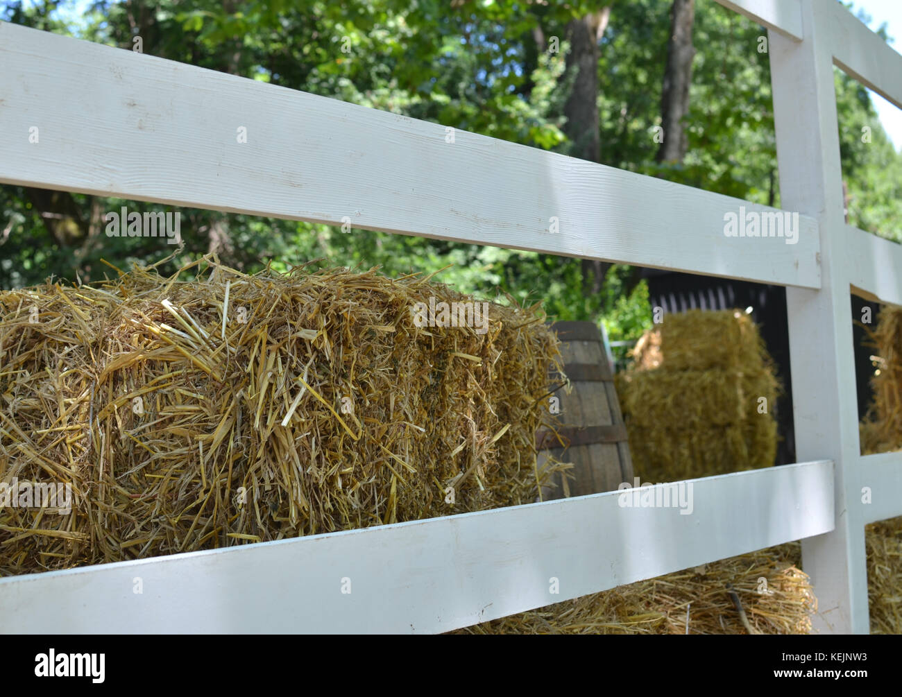Hay behind white wooden barn fence Stock Photo - Alamy