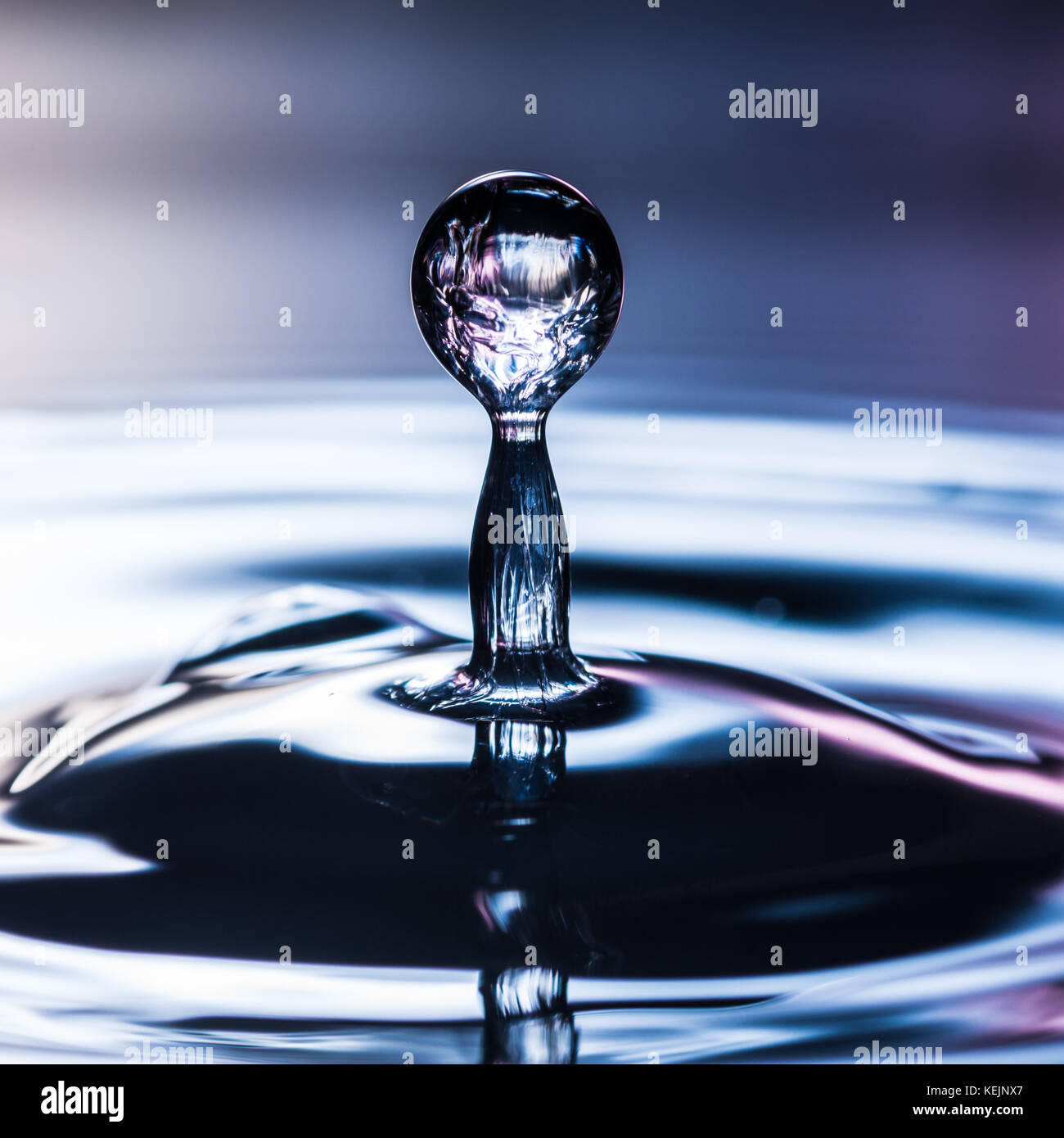 A macro shot of a water spike with a water droplet Stock Photo - Alamy