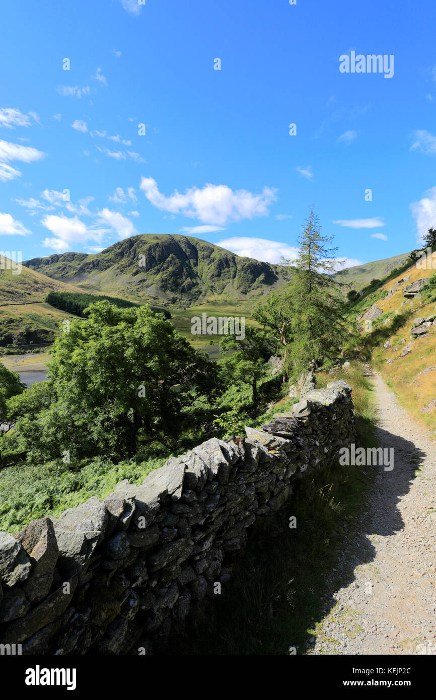 Summer view of Harter fell, Mardale valley, Lake District National Park ...