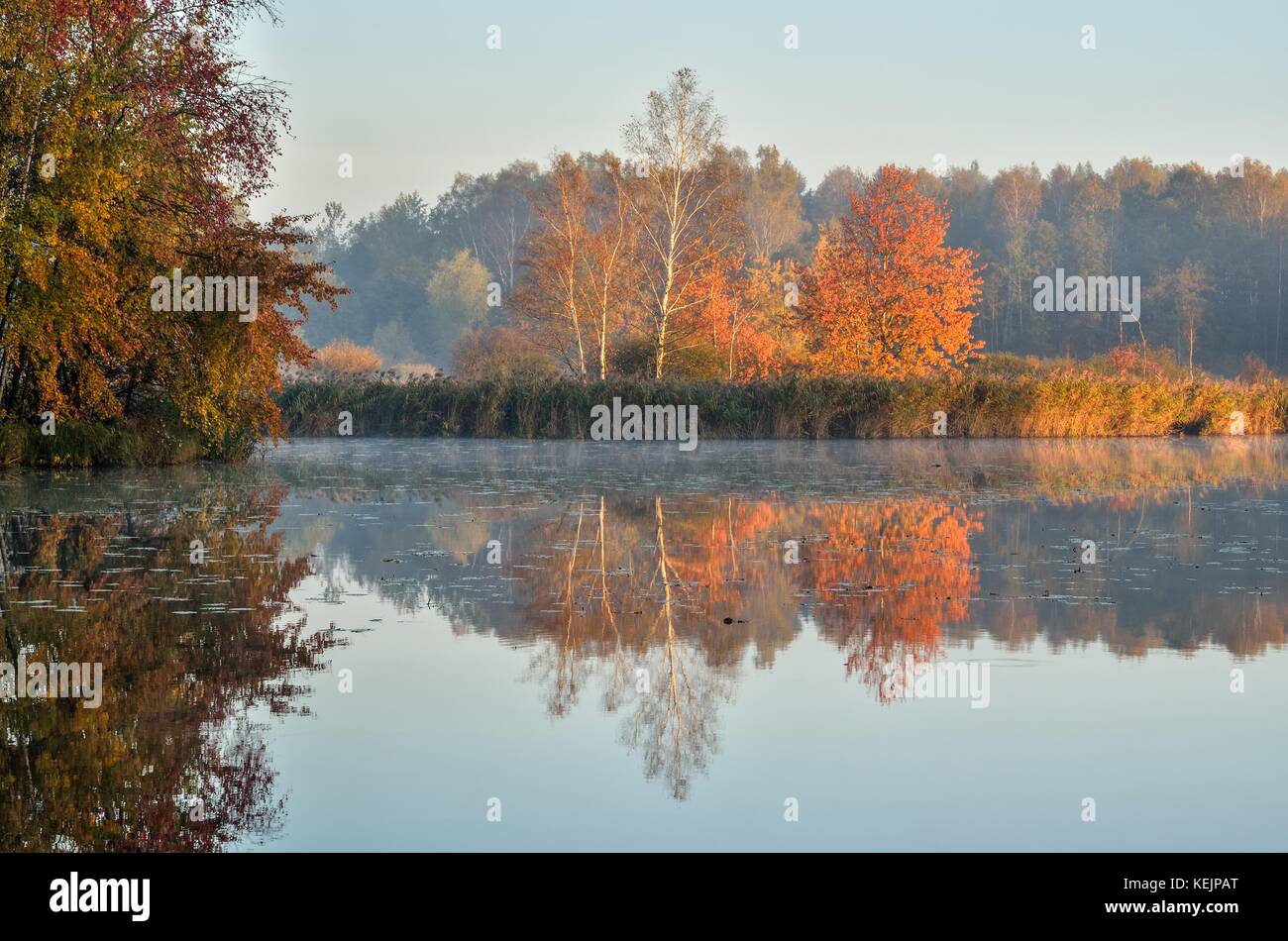 Beautiful autumn scene vibrant hi-res stock photography and images - Alamy