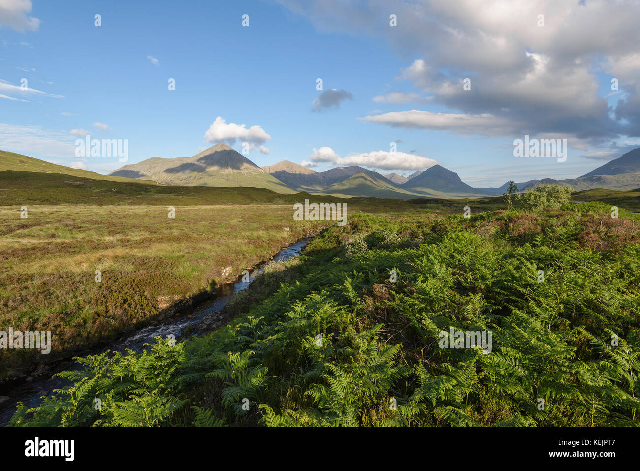 sunny afternoon landscape at the isle of skye Stock Photo - Alamy