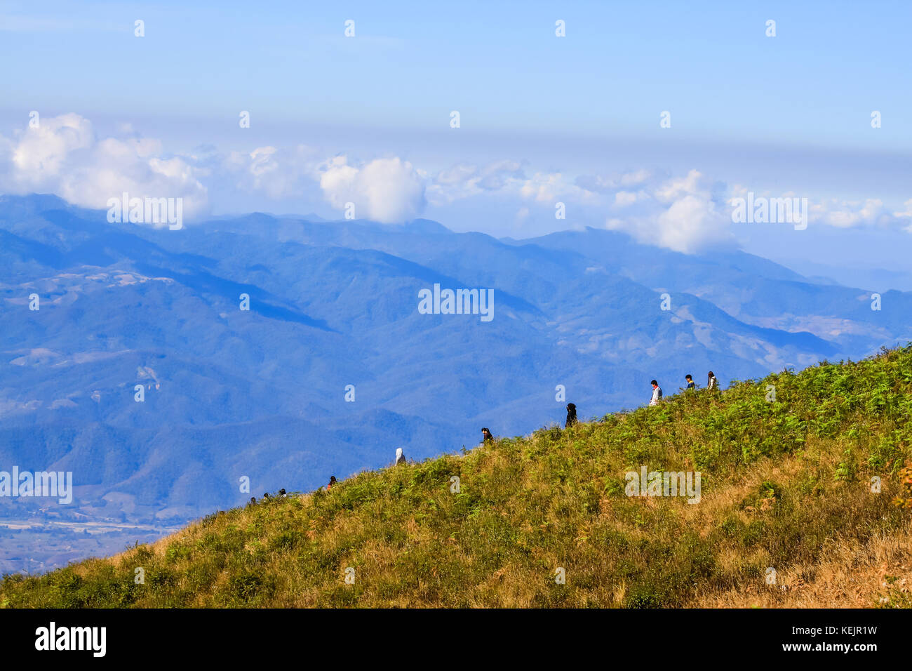 Kew Mae Pan Nature Trail in Doi Inthanon National Park - Chiang Mai ...
