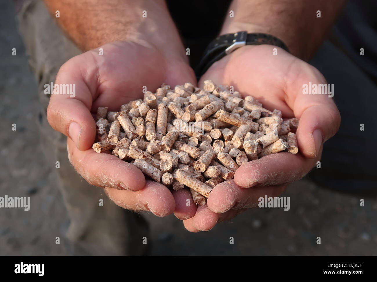 Biomass pellet pellets hi-res stock photography and images - Alamy