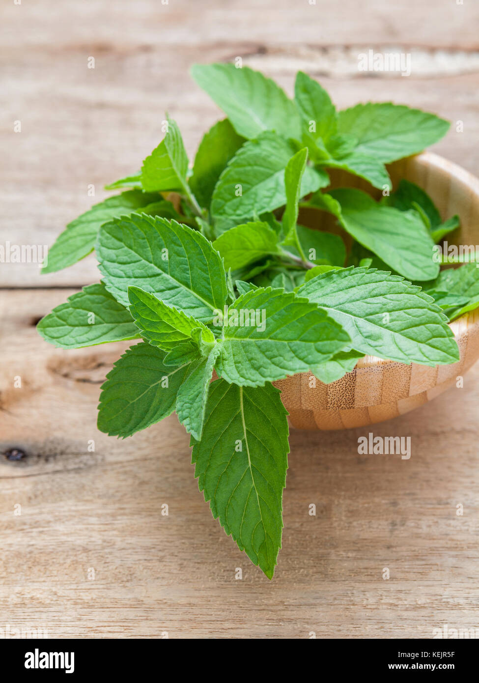 Closeup fresh peppermint leaves in the wooden bowl on rustic table ...