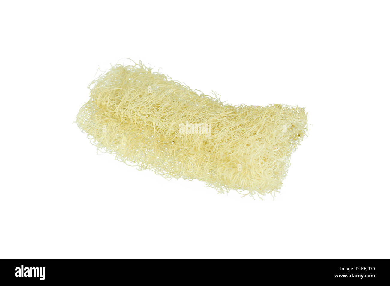 Dry Luffa, luffa sponge on white background, isolated with soft shadow ...