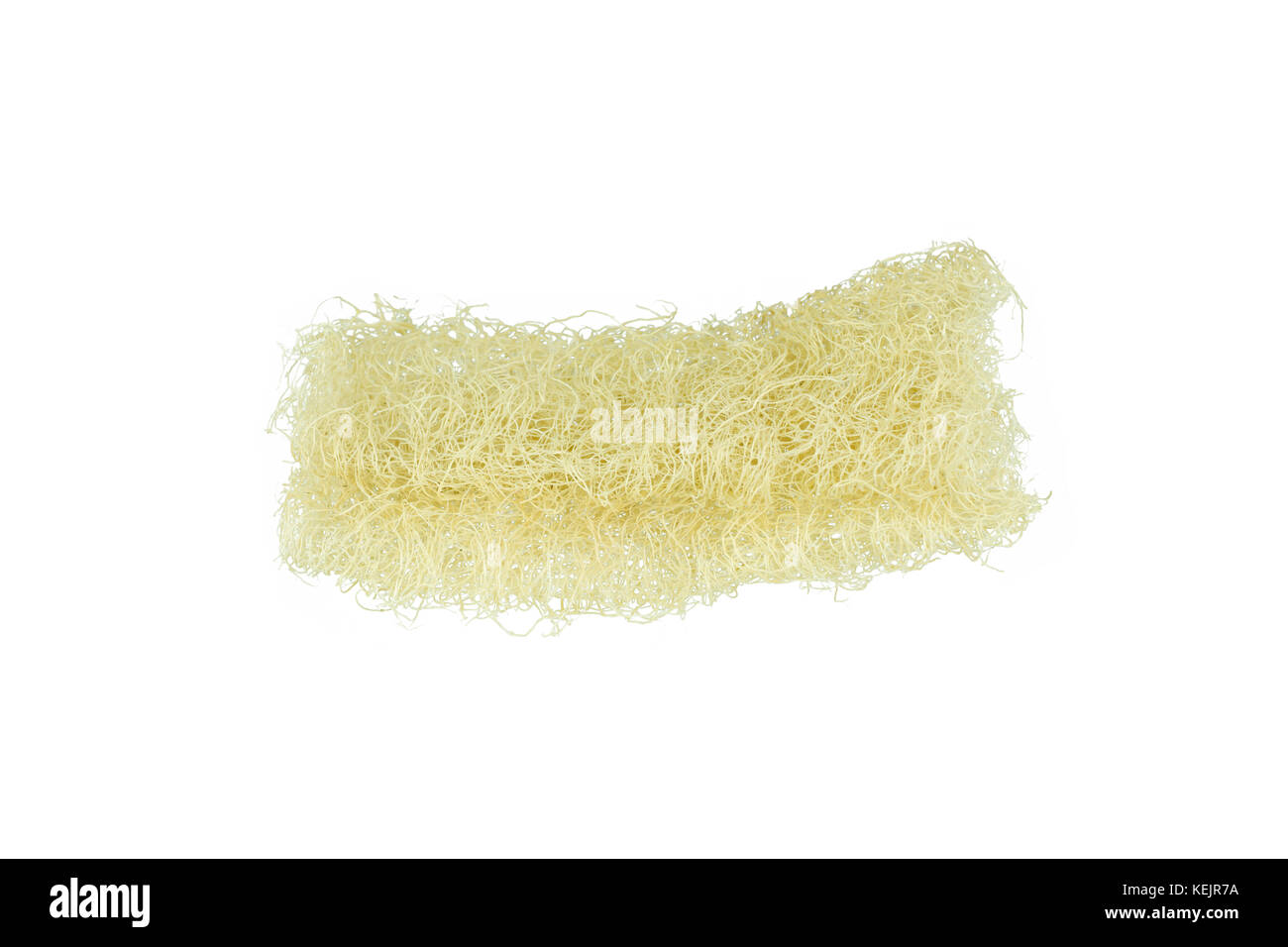 Dry Luffa, luffa sponge on white background, isolated with soft shadow ...