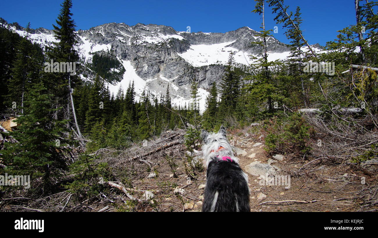 Exploring Washington State, The Great Pacific Northwest Stock Photo - Alamy