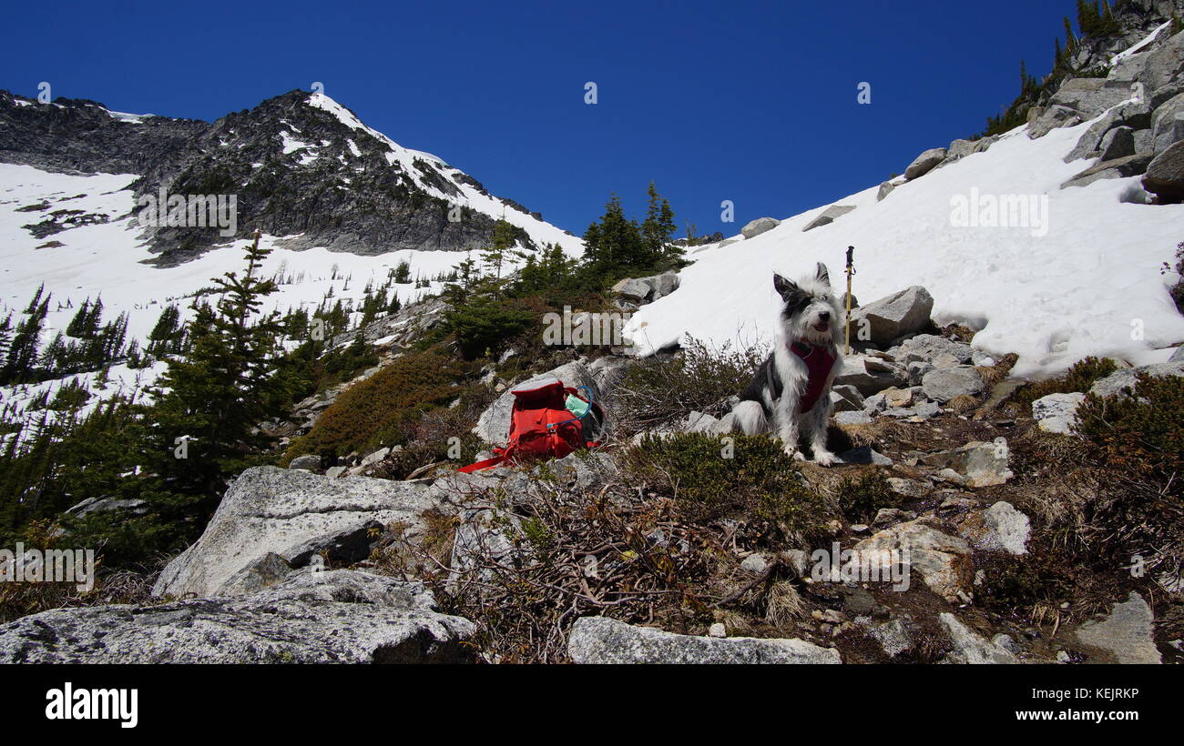 Exploring Washington State, The Great Pacific Northwest Stock Photo - Alamy