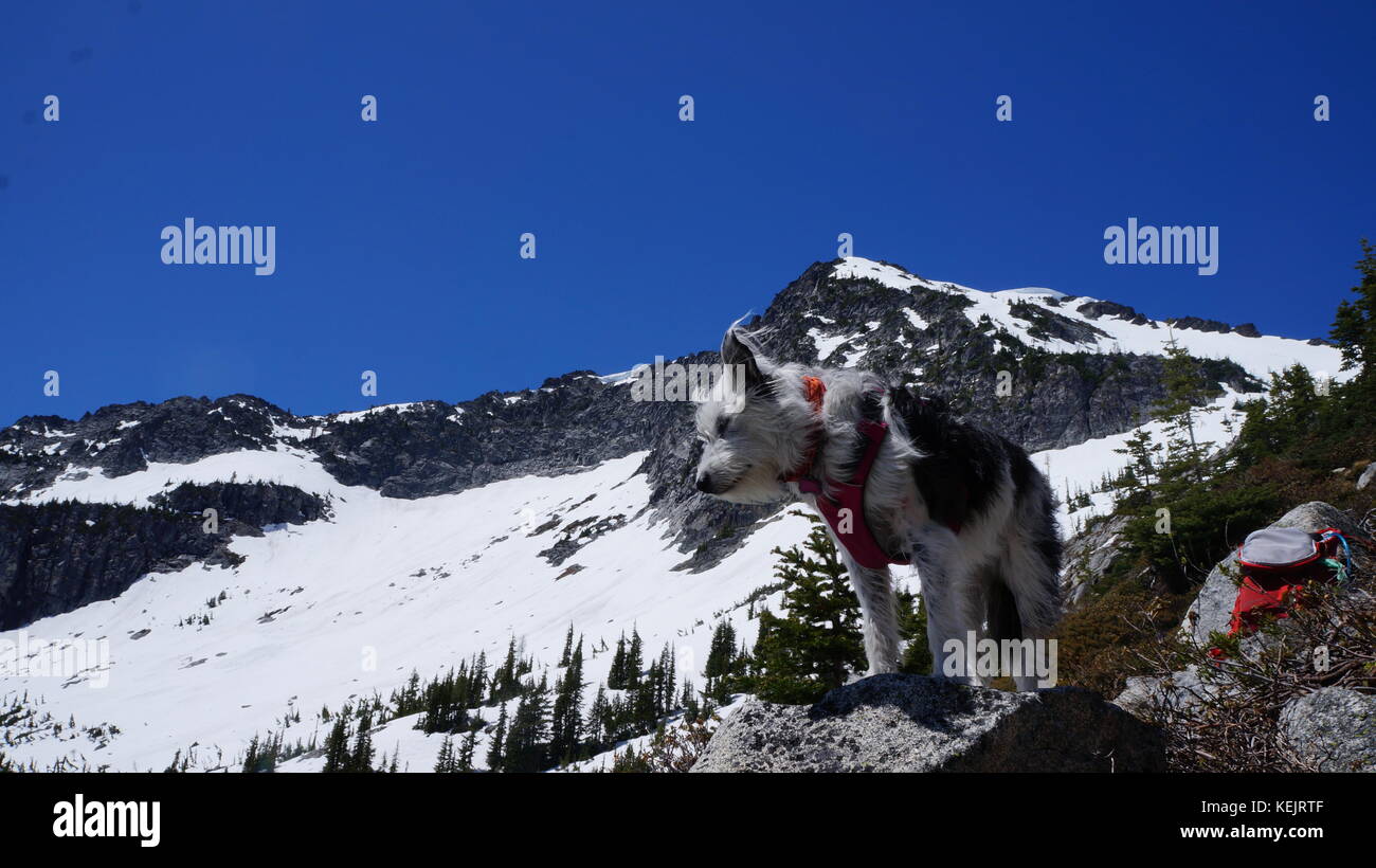Exploring Washington State, The Great Pacific Northwest Stock Photo - Alamy