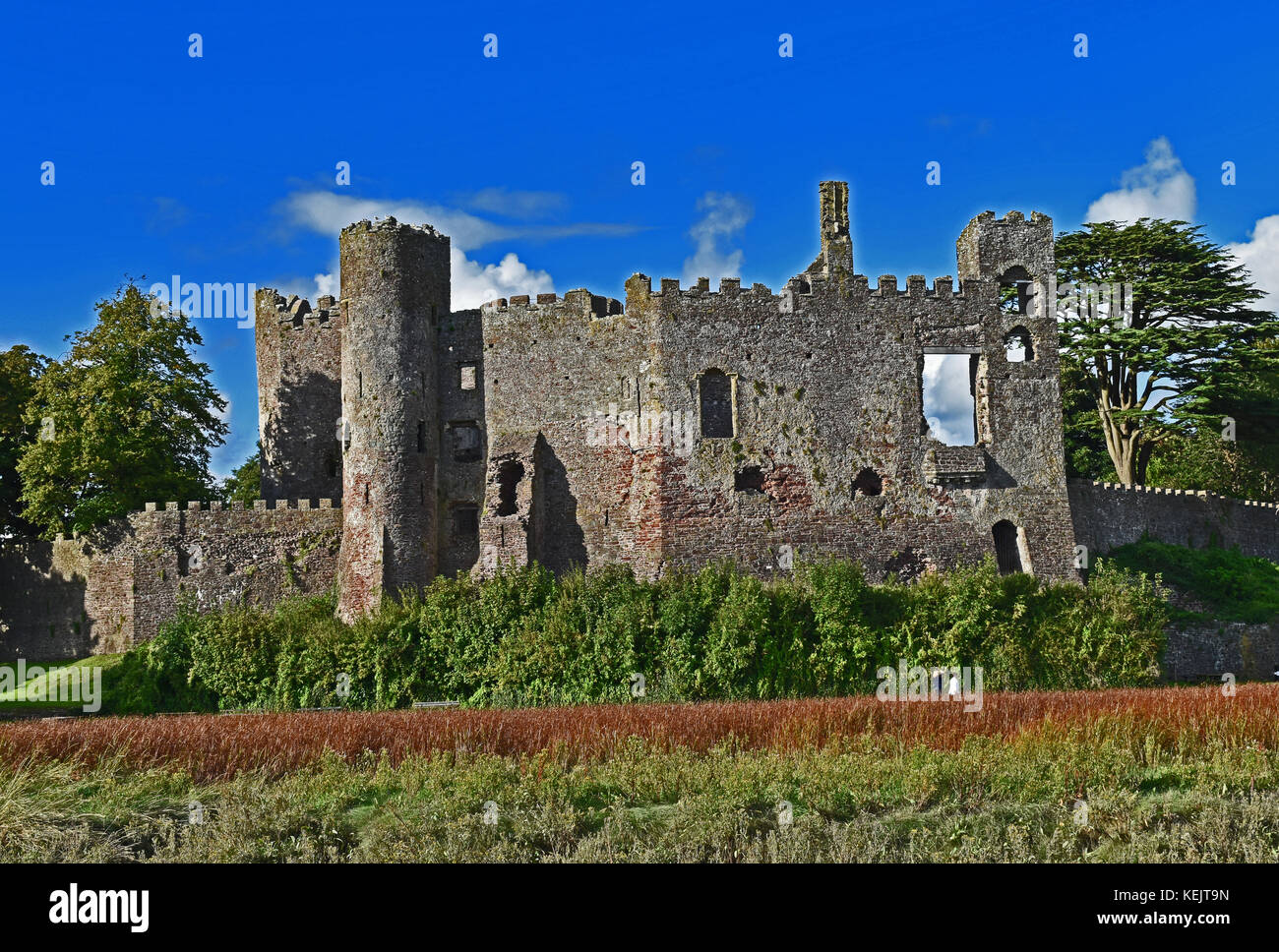 Richard thomas wales hi-res stock photography and images - Alamy