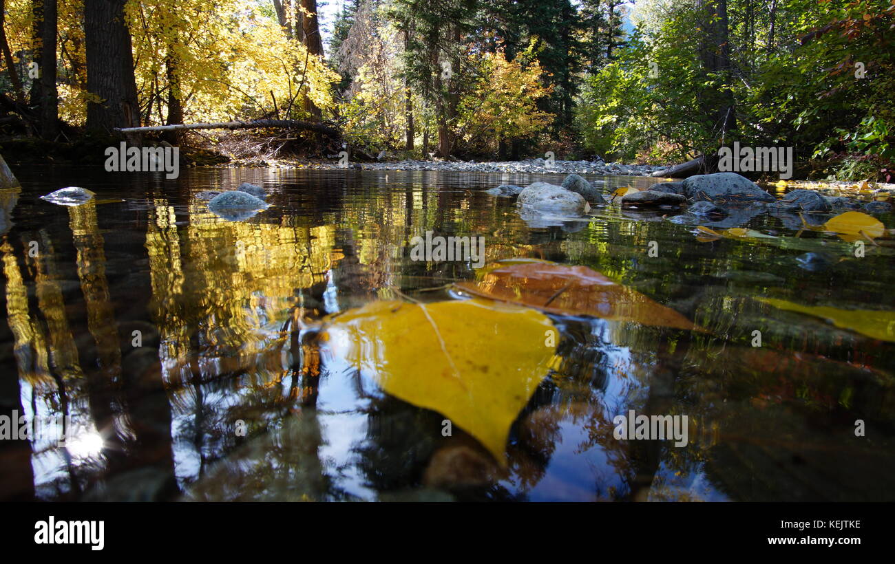 Exploring Washington State, The Great Pacific Northwest Stock Photo - Alamy