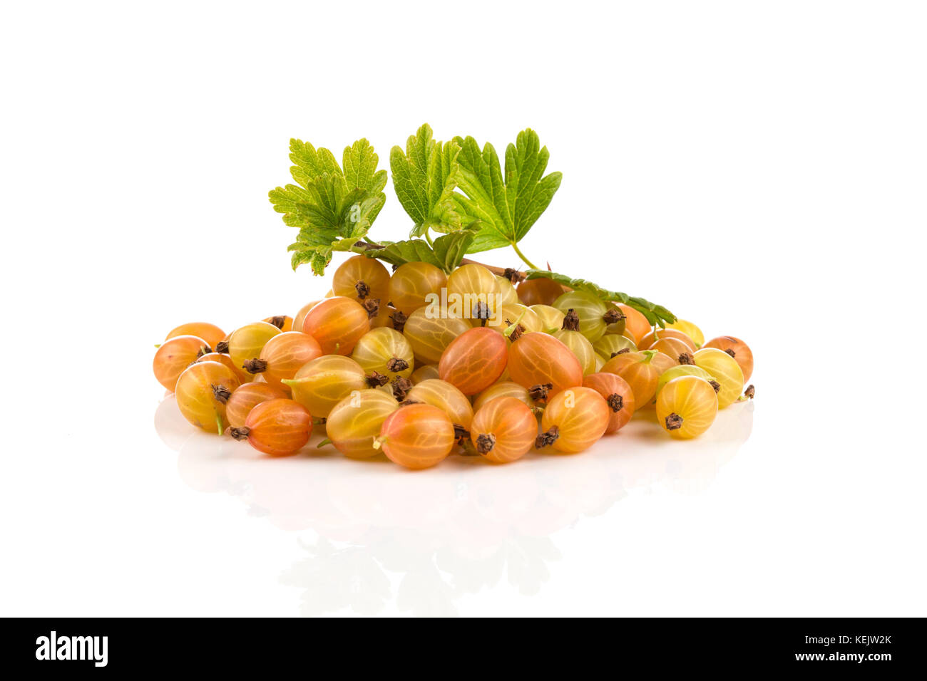 Fresh juicy gooseberry isolated on a white background Stock Photo - Alamy