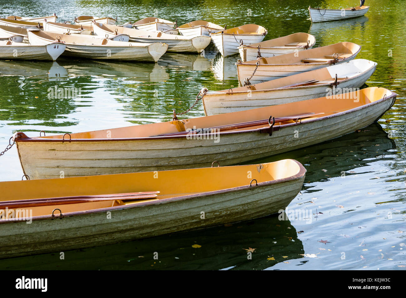 A fleet of rental rowboats bound to one another at the end of the day ...