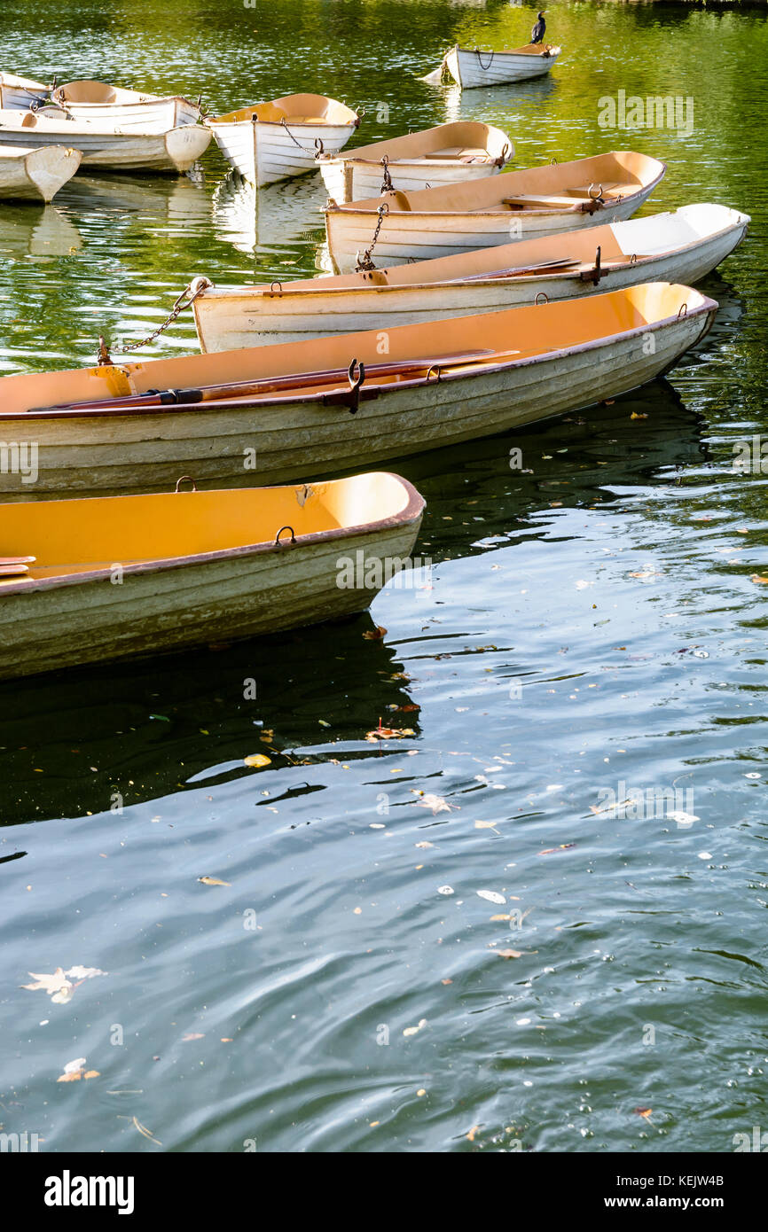 A fleet of rental rowboats bound to one another at the end of the day ...