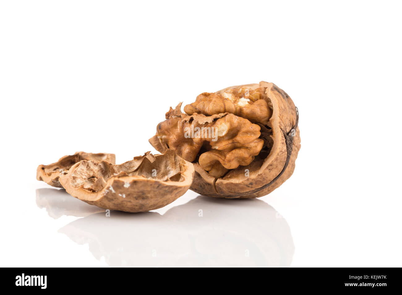 Walnut nut closeup isolated on a white background Stock Photo - Alamy