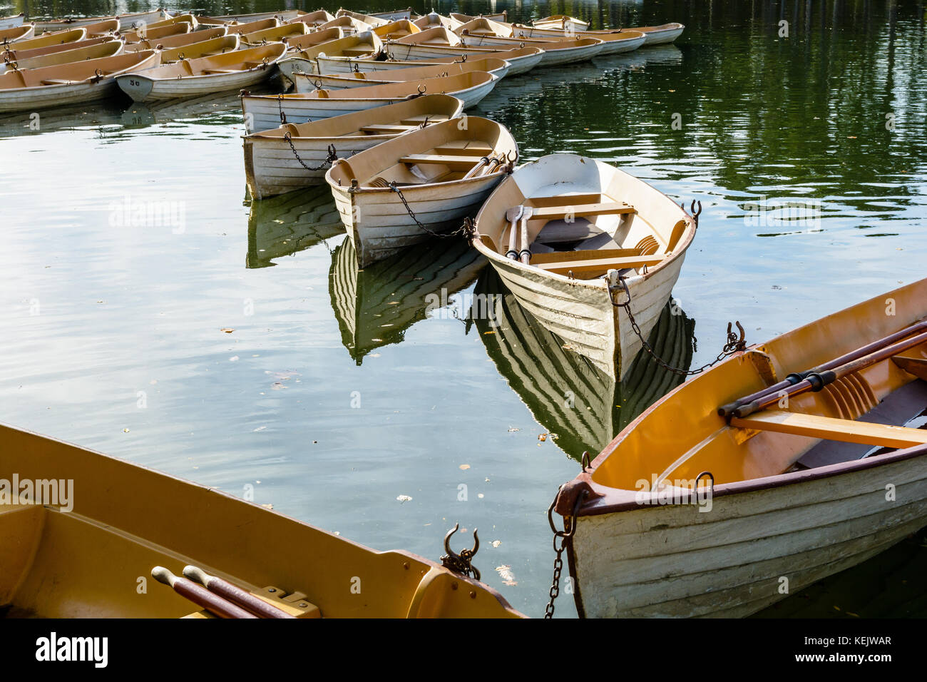 A fleet of rental rowboats bound to one another at the end of the day ...