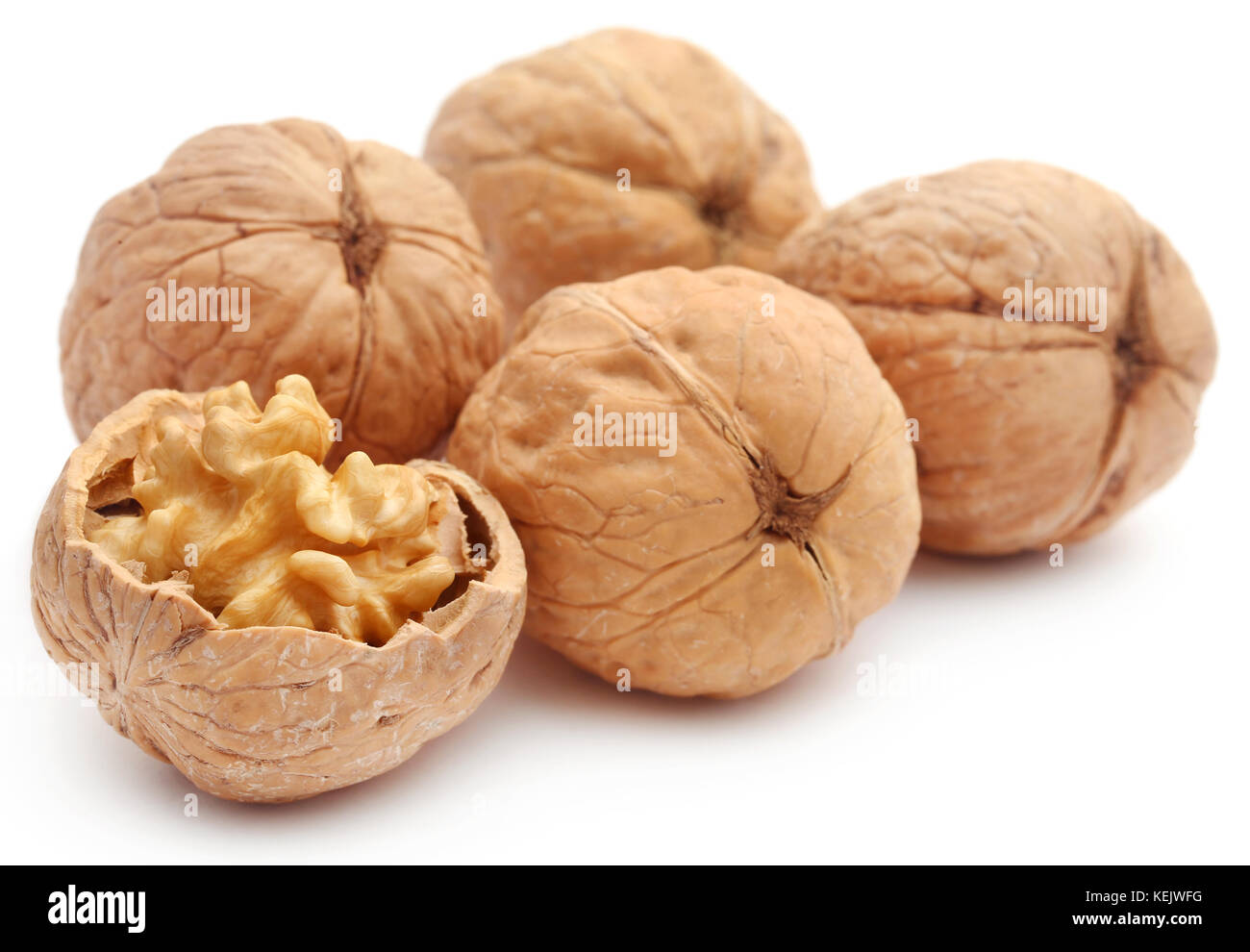 Walnut isolated over white background Stock Photo - Alamy