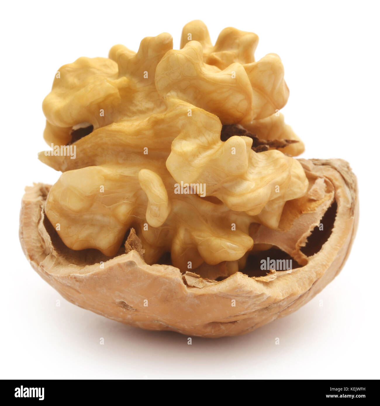 Walnut isolated over white background Stock Photo - Alamy