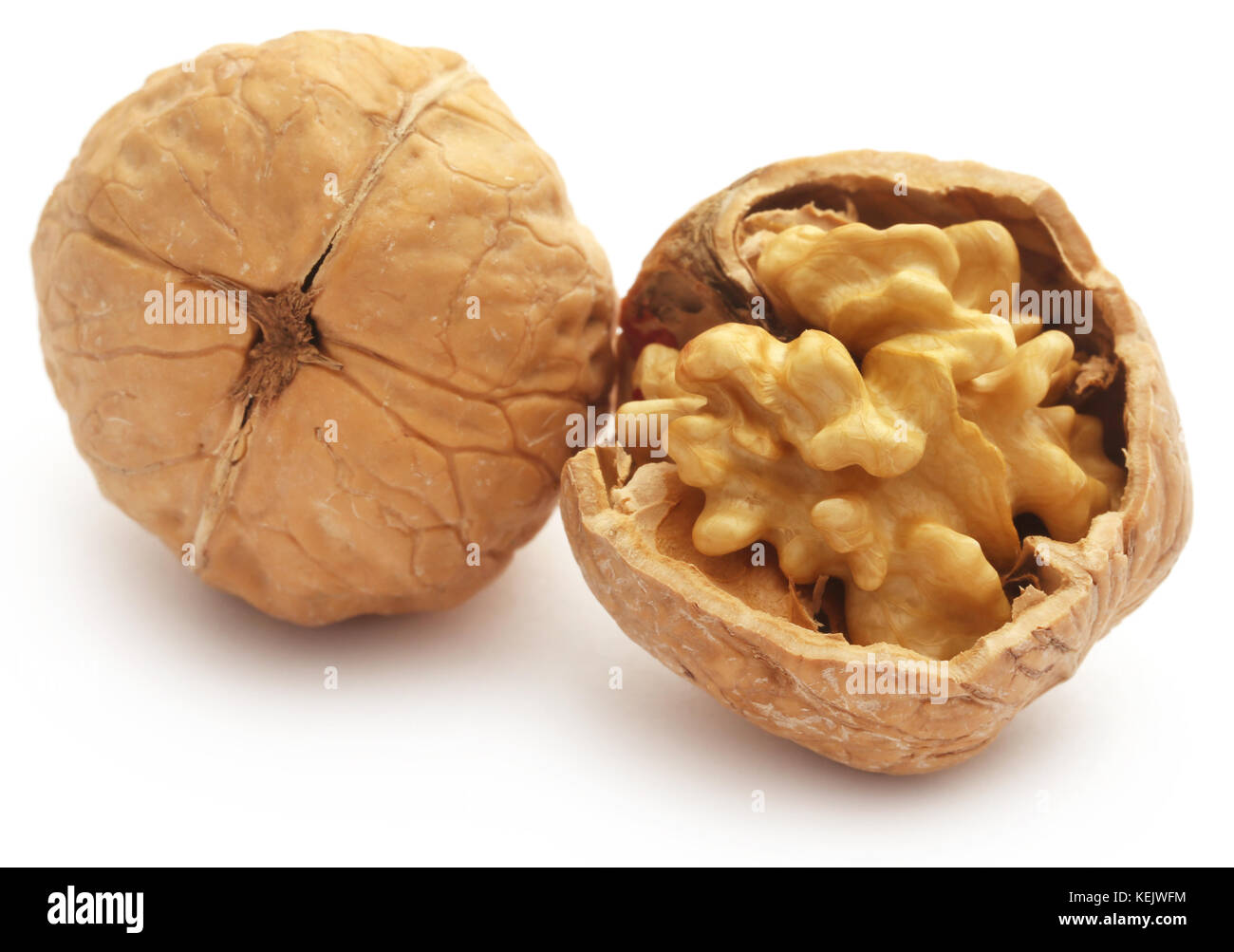Walnut isolated over white background Stock Photo - Alamy