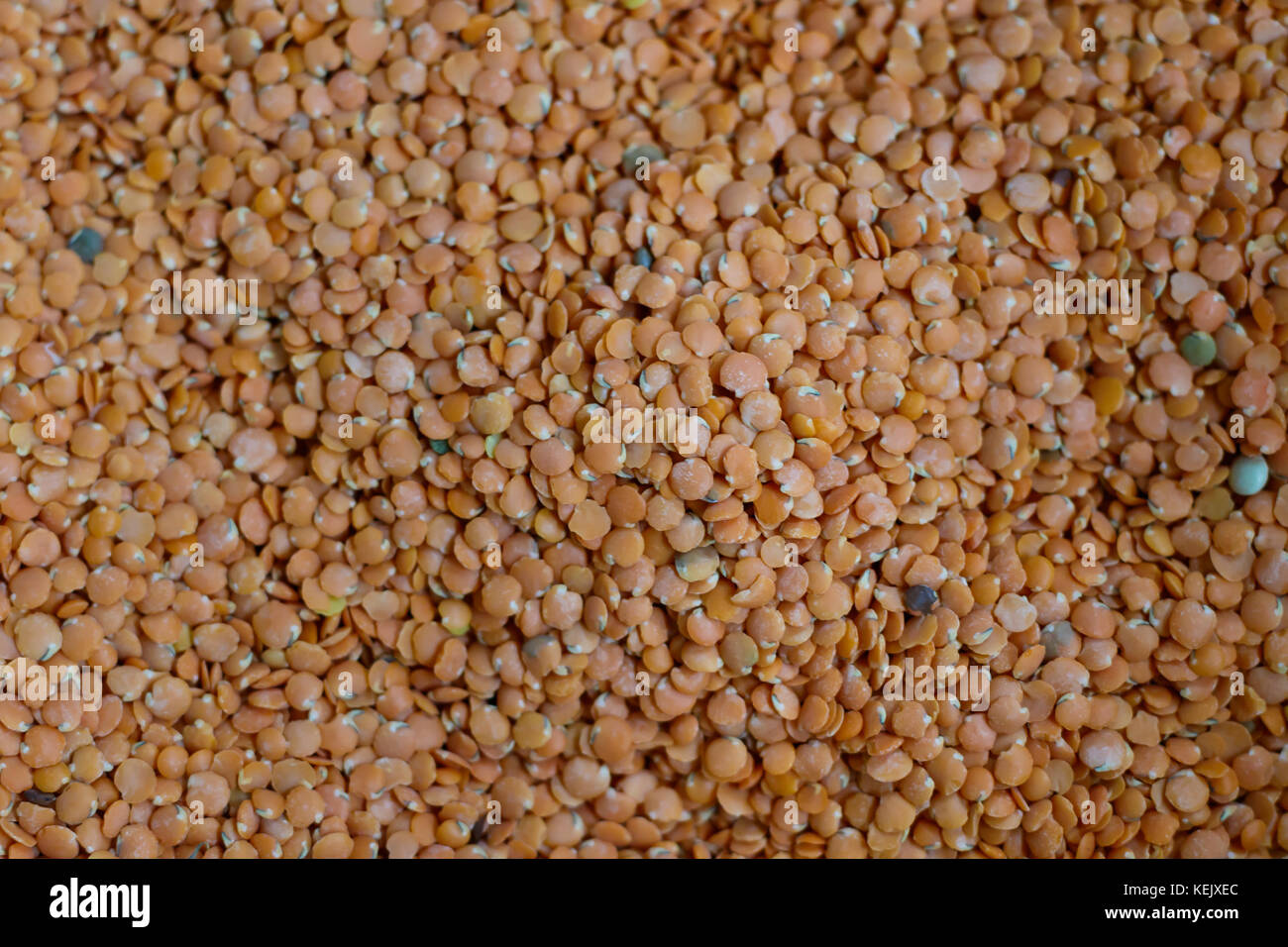 Yellow peas farming hi-res stock photography and images - Alamy
