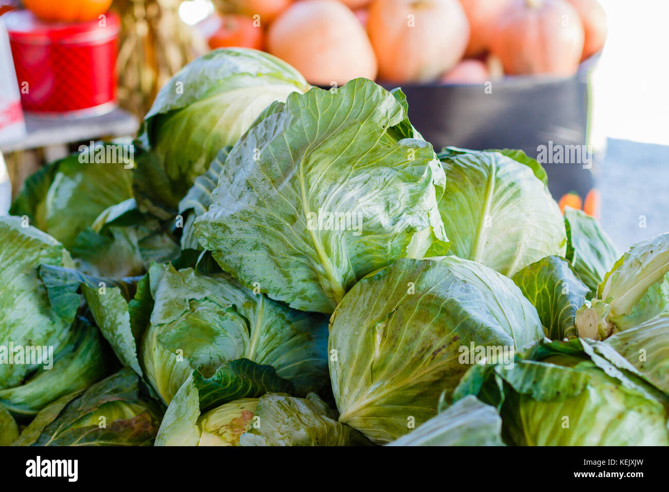 Fresh heads of cabbage at a produce stand Stock Photo - Alamy