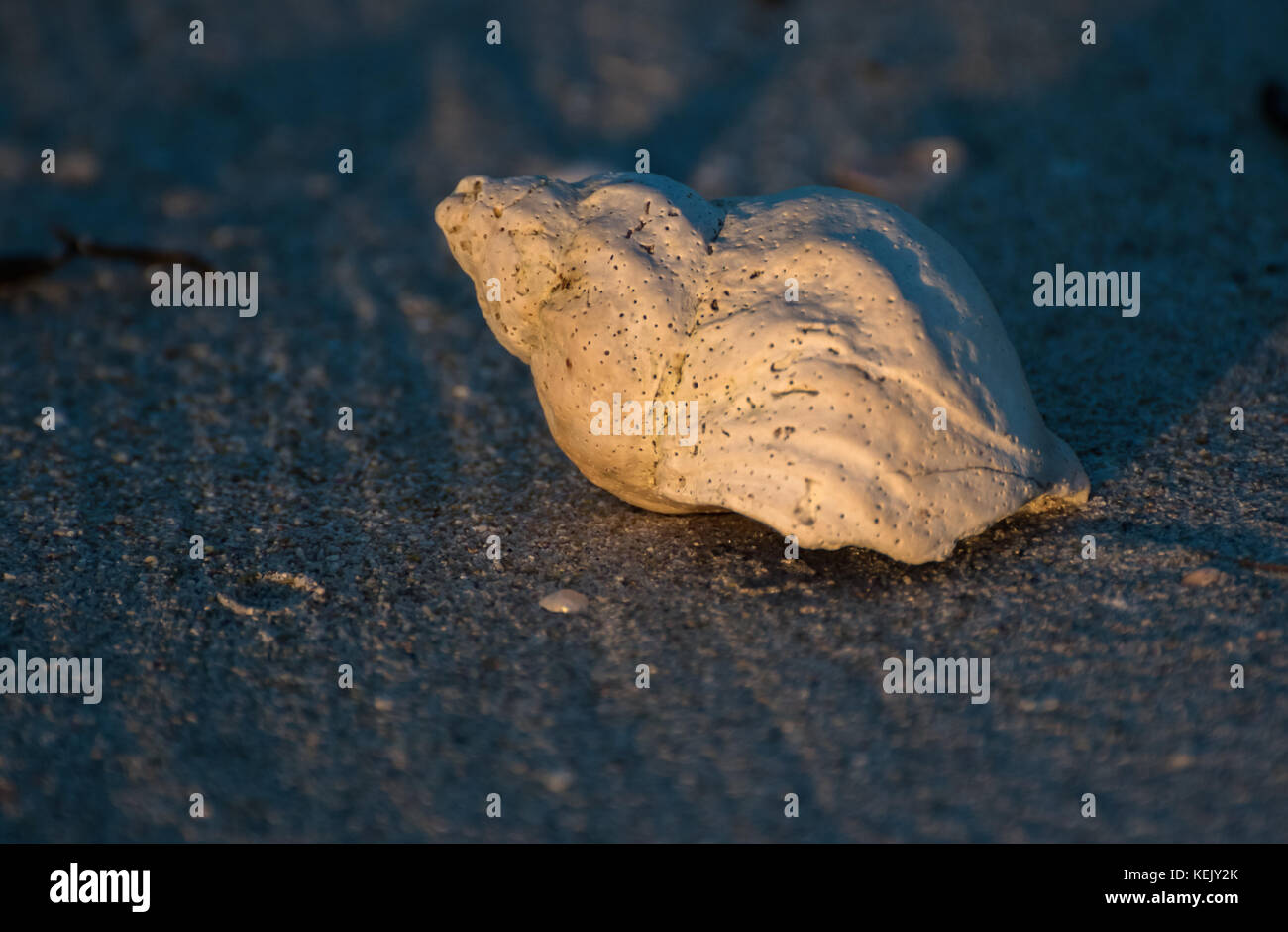 Reflecting sand sunset hi-res stock photography and images - Alamy