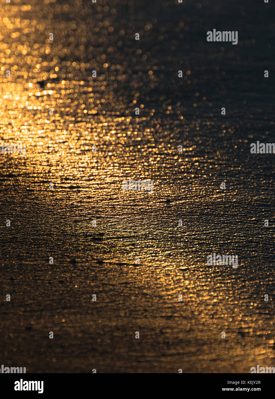 Reflecting beach sand hi-res stock photography and images - Alamy
