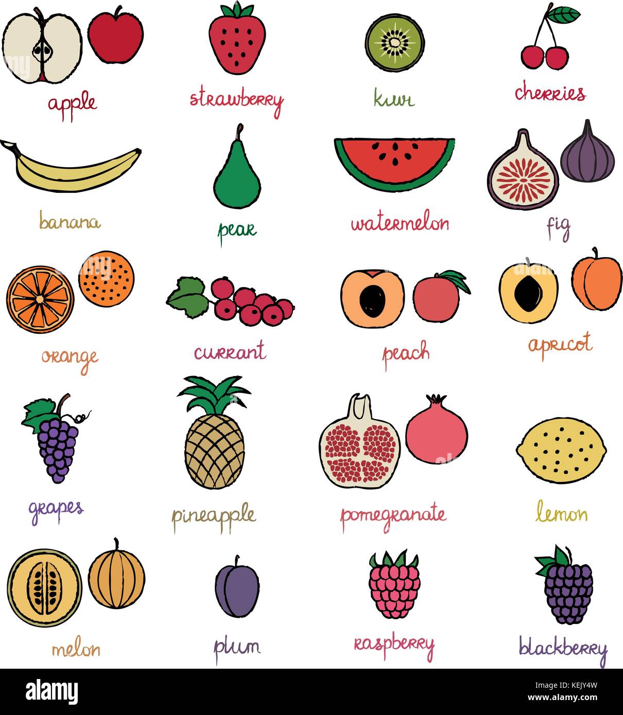 Various fruits vector set Stock Vector Image & Art - Alamy
