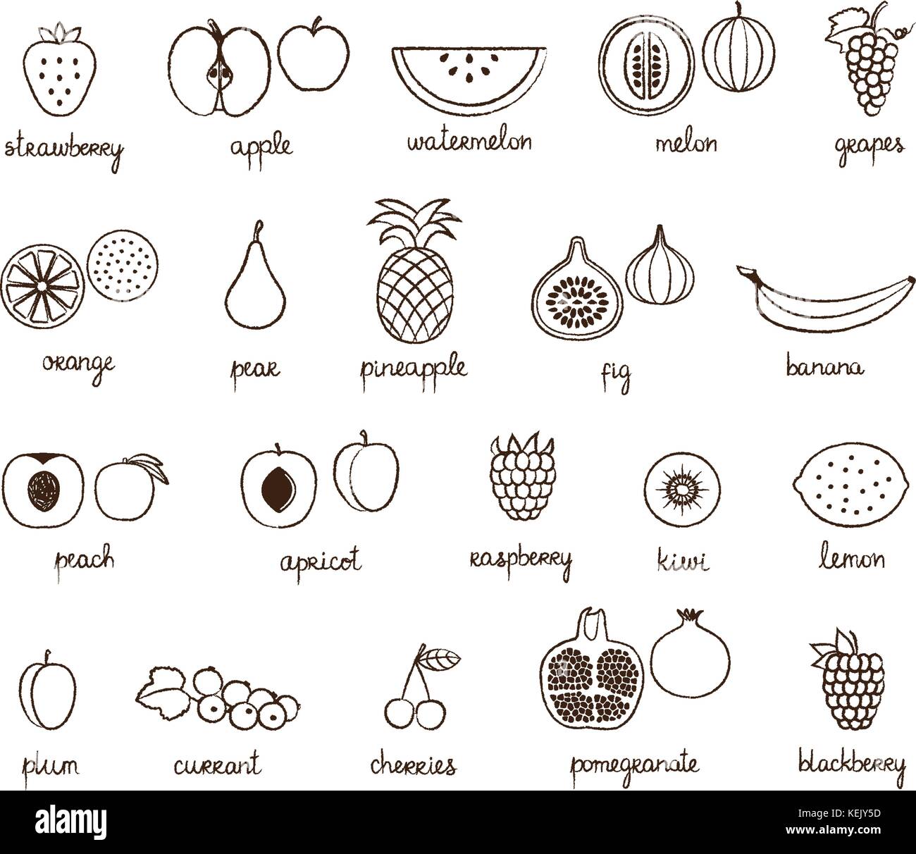 Hand drawn fresh organic Stock Vector Images - Alamy