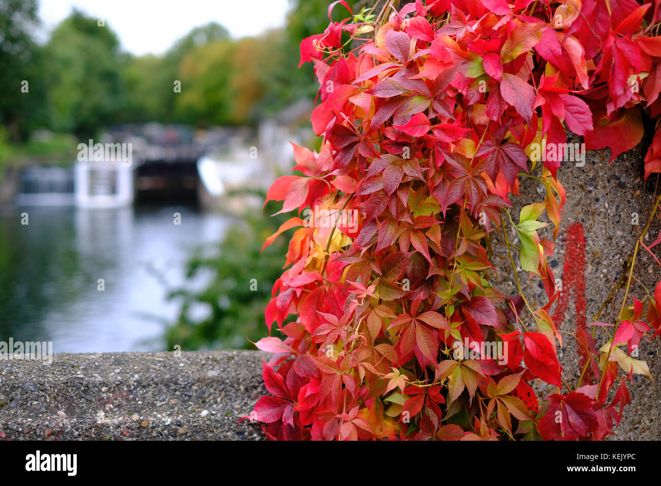 Autumn in Victoria Park, Hackney, London, United Kingdom Stock Photo ...