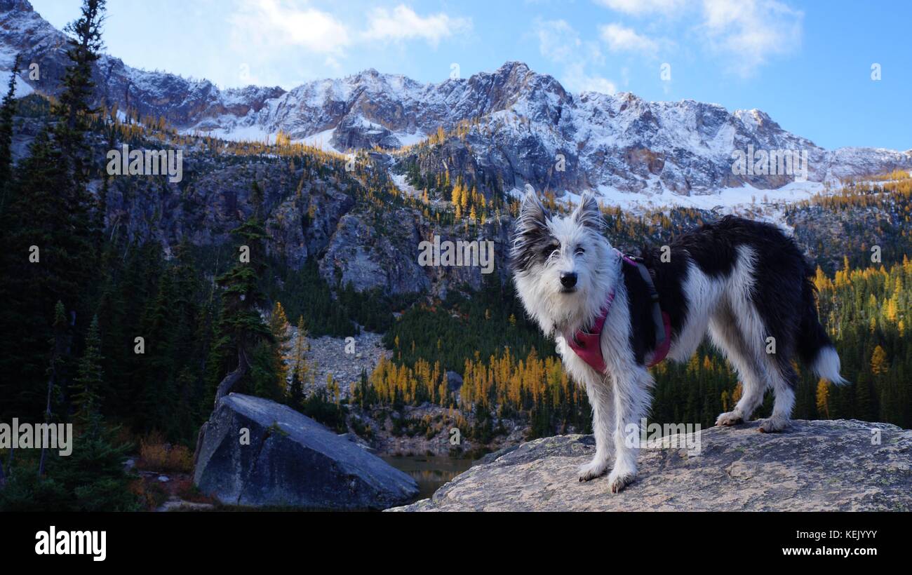 Exploring Washington State, The Great Pacific Northwest Stock Photo - Alamy