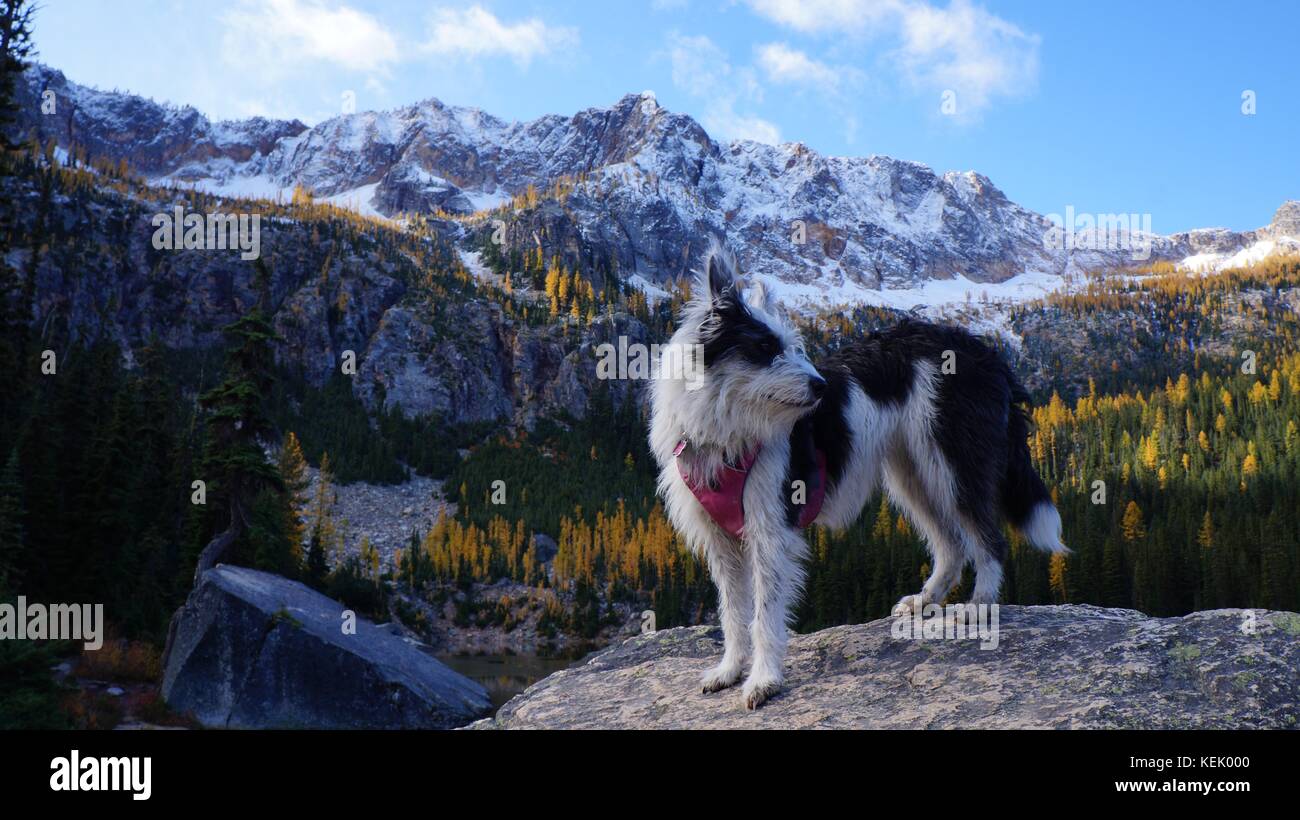 Exploring Washington State, The Great Pacific Northwest Stock Photo - Alamy