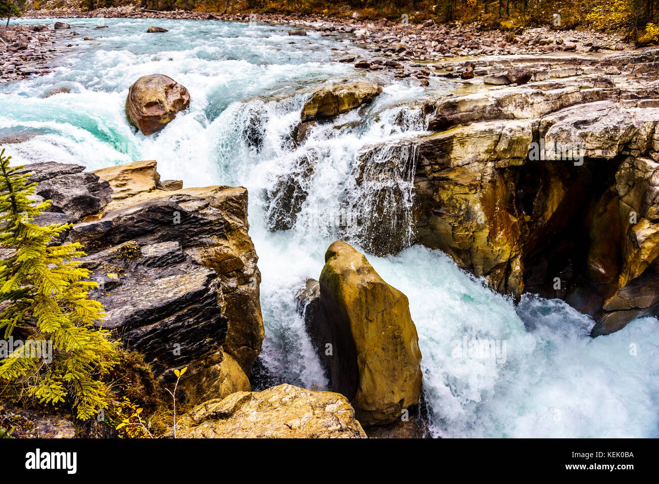 The turbulent water of the Sunwapta River as it tumbles down Sunwapta ...
