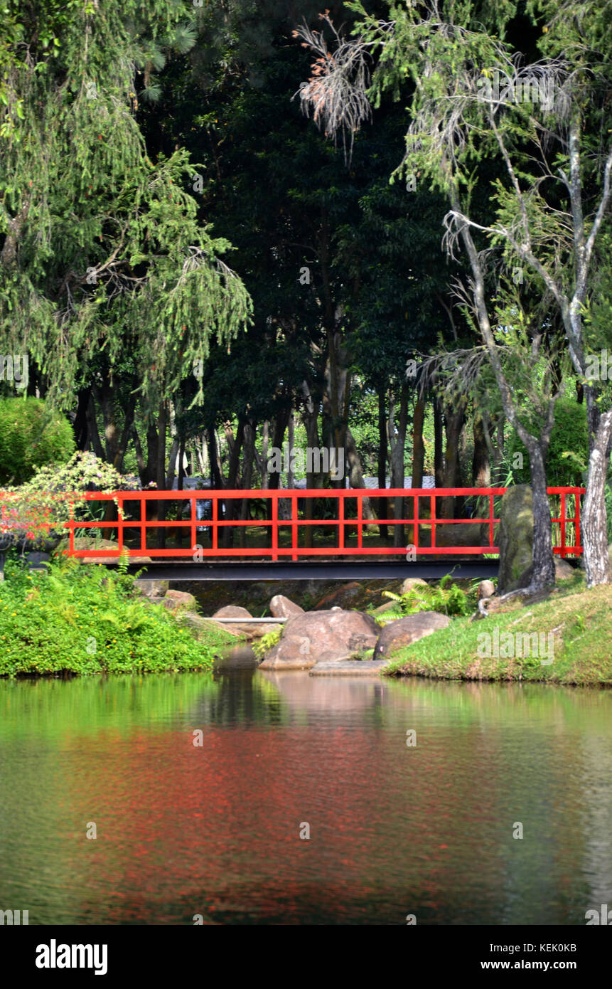 Red bridge in Chinese Garden located in Singapore Stock Photo - Alamy