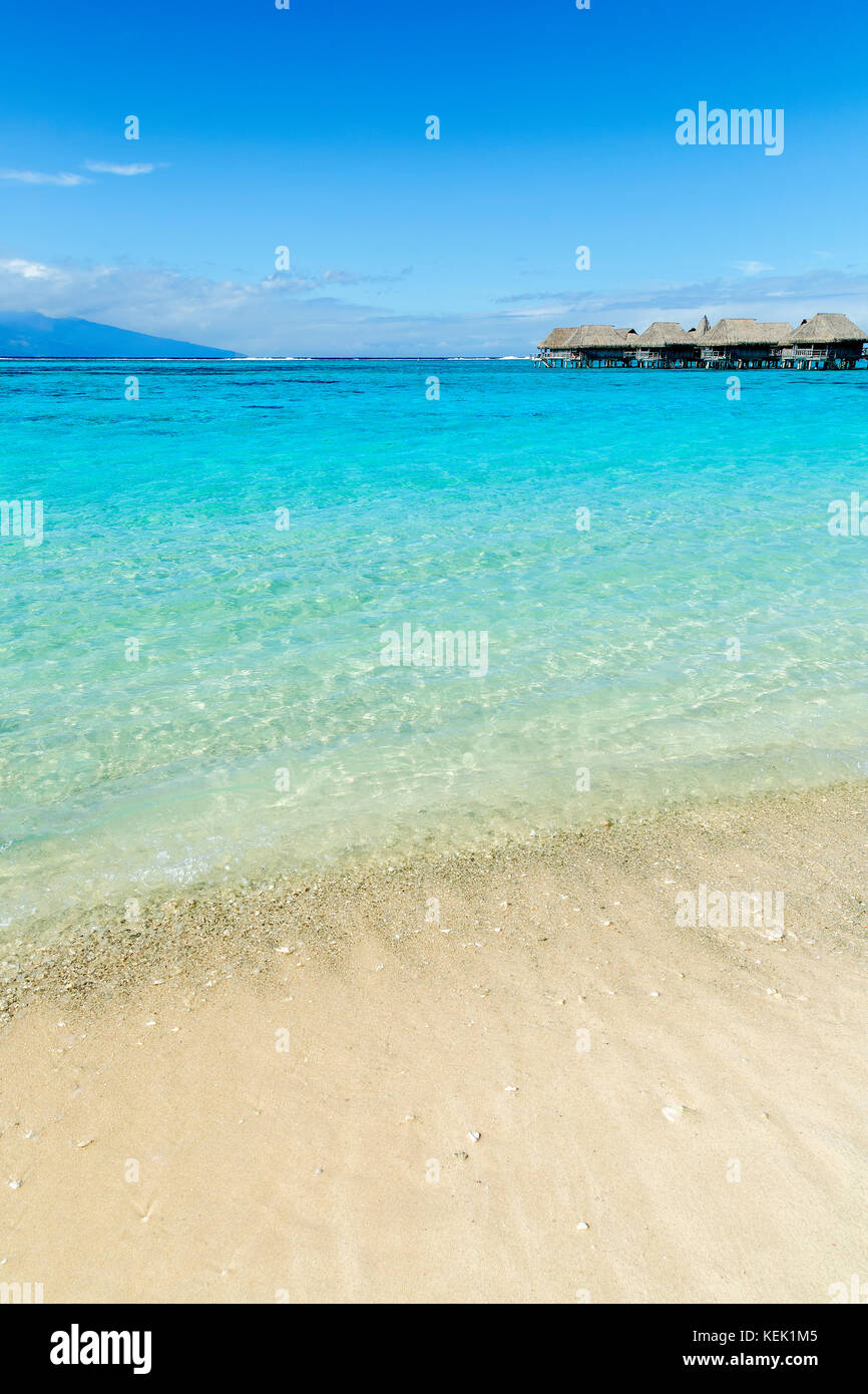Sandy beach with overwater bungalows in Moorea, French Polynesia Stock ...