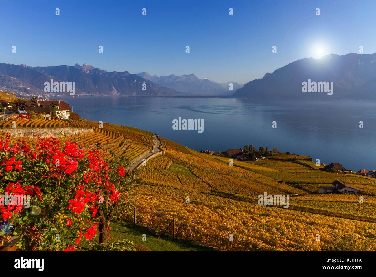 Lavaux region by autumn day, Vaud, Switzerland Stock Photo - Alamy