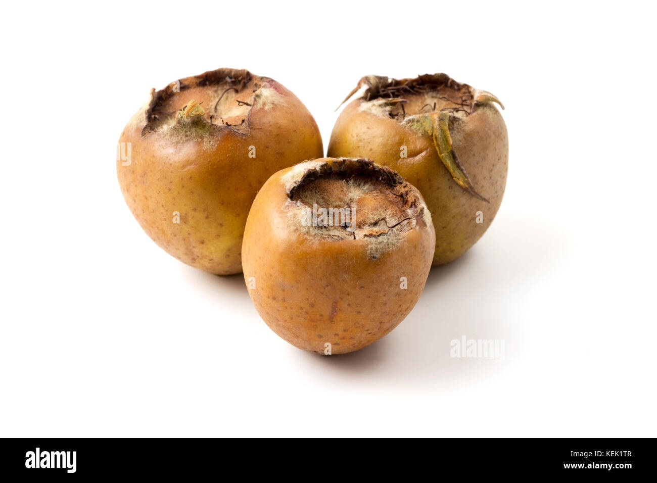 Common medlar on a white background Stock Photo - Alamy